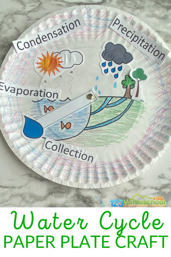 ⛈️ 2 FUN, Hands-on Water Cycle Activities for Kids