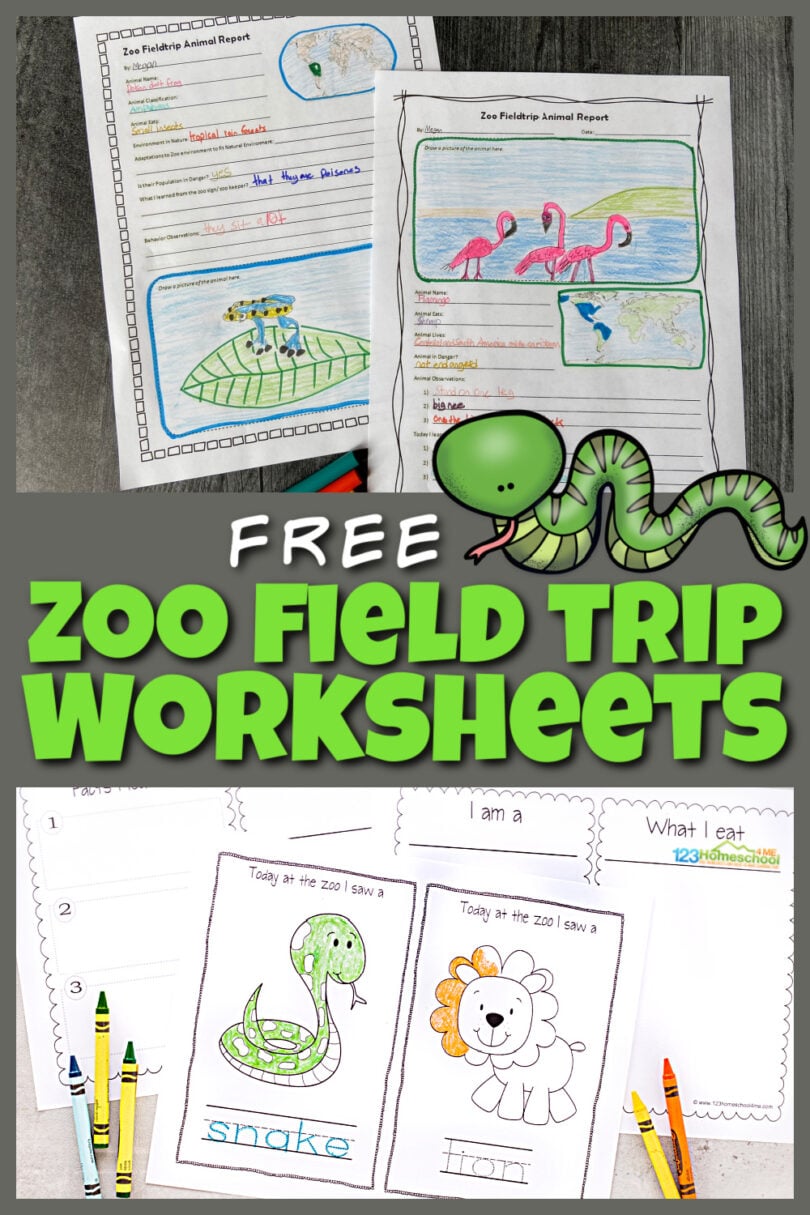 🐘 FREE Zoo Field trip Worksheet and Animal Reports