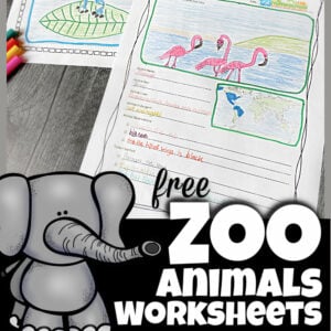 🐘 FREE Zoo Field trip Worksheet and Animal Reports