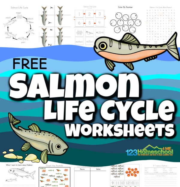 🐟 FREE Printable Salmon Life Cycle Worksheet for Kids