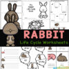🐰 FREE Printable Rabbit Animal Life Cycle Worksheets pdf