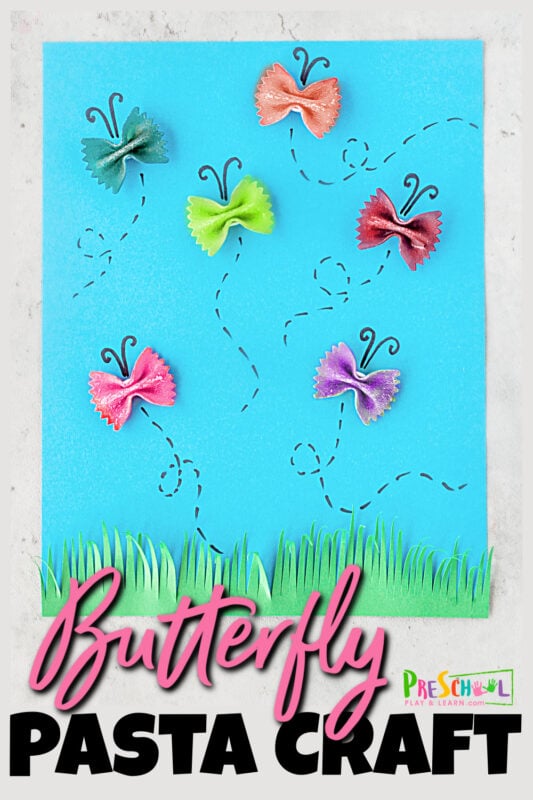 🦋 FREE FREE Printable Butterfly Life Cycle Themed Worksheets