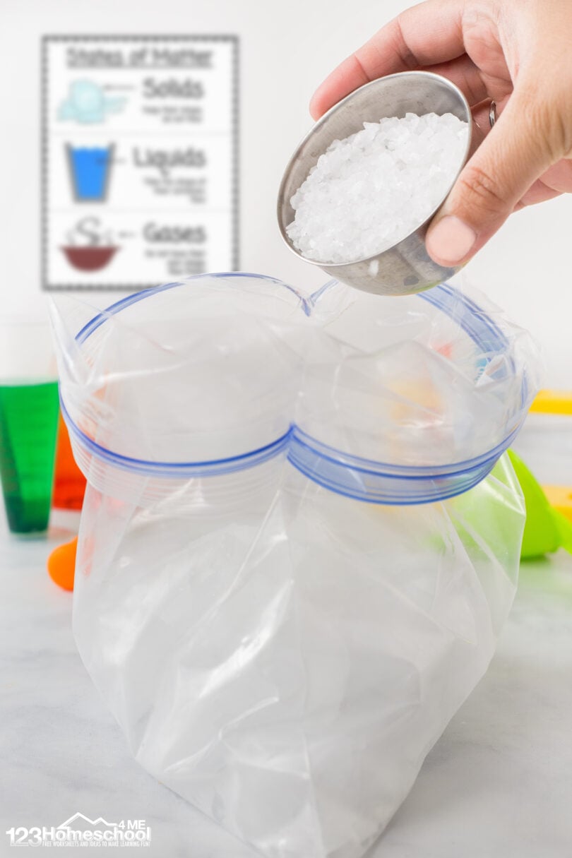 How to Make Ice Cream in a Bag w/ Science Experiment Worksheet pdf