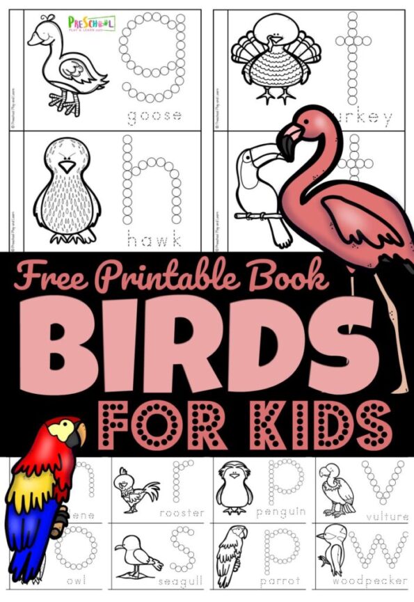 FREE Birds in Winter Printable Worksheets