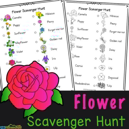 🌸 FREE Printable Flower Scavenger Hunt