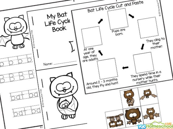 🦇 FREE Bat Life Cycle Worksheets for Kids
