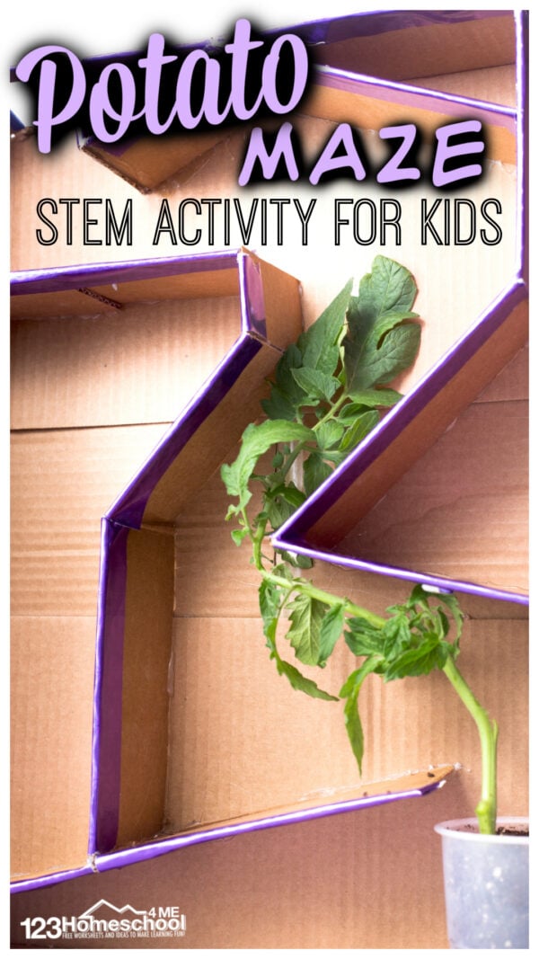 🌻 FREE Printable Flower Worksheets for Kids