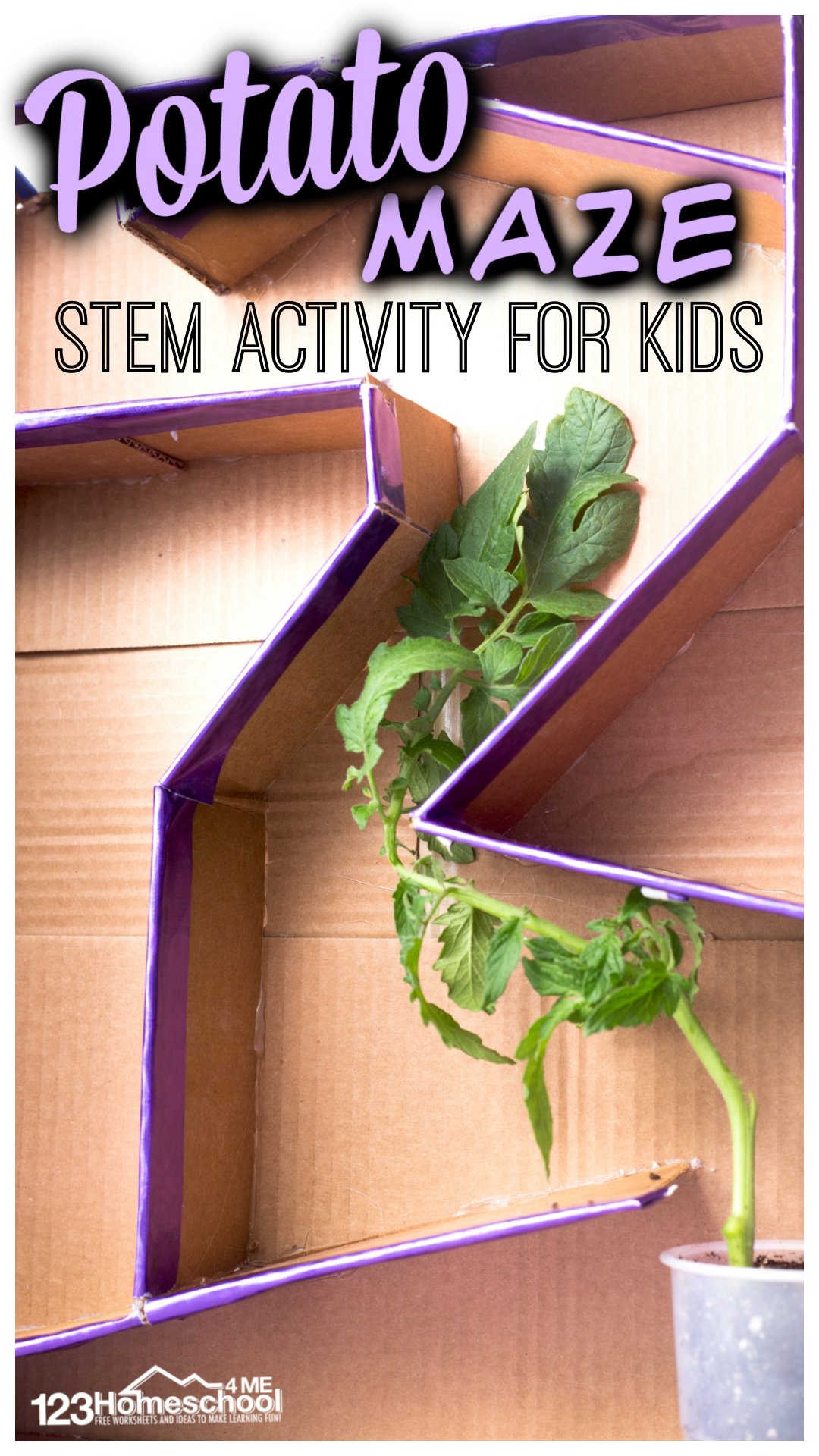 🌿 FREE Plant Life Cyle Printable Worksheets