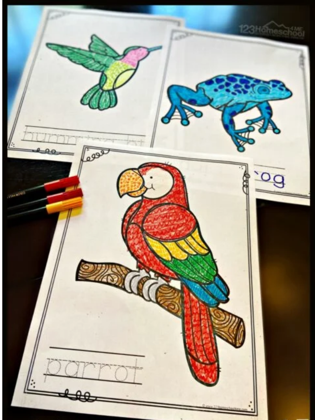 Animals and their Homes Activity - 123 Homeschool 4 Me