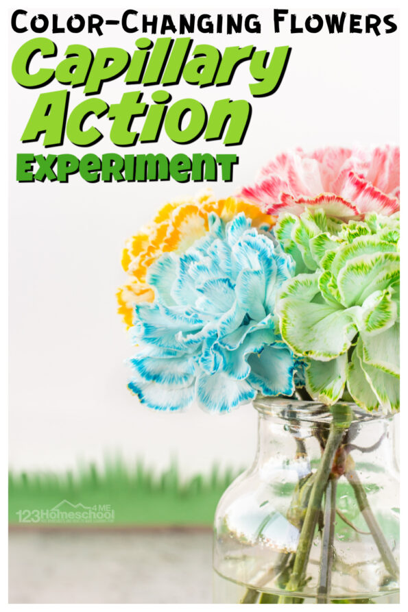 Beautiful Dandelion Craft and Art Project for Kids with Fork Technique
