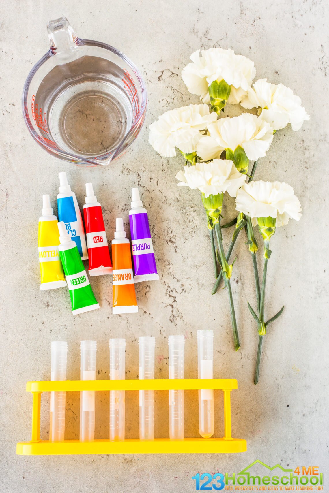 🌺 Color-Changing Flowers - Capillary Action Science Experiment