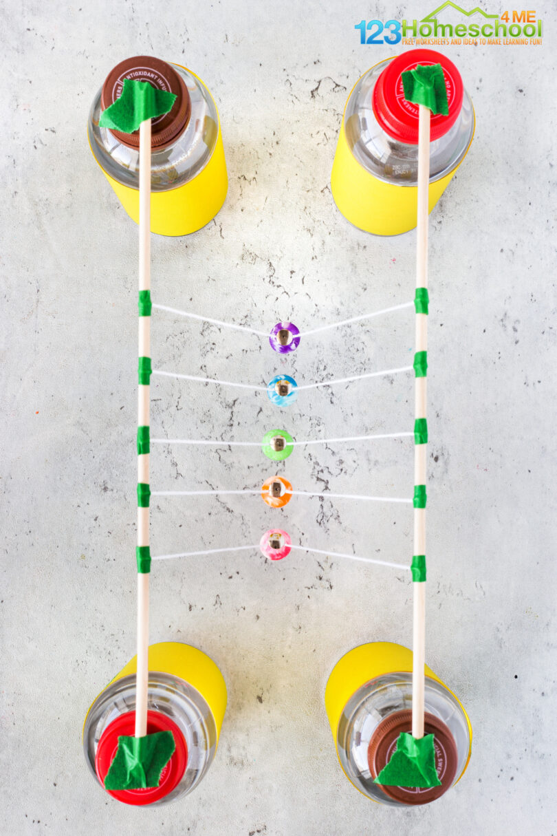 How to Make a Simple Newton's Cradle Science Experiment