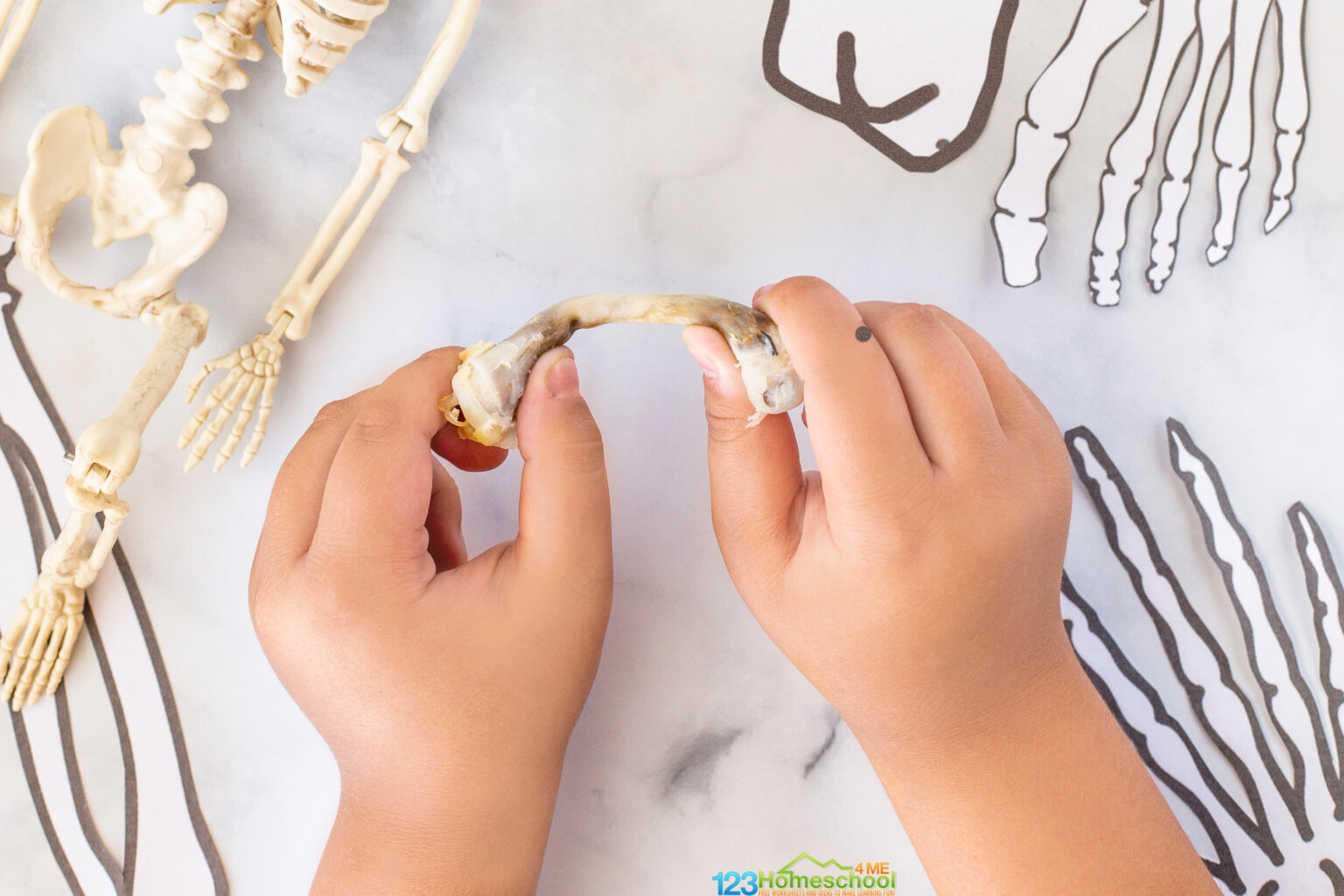 🦴 Bending Bones - Human Body Experiment Removing Calcium for Kids