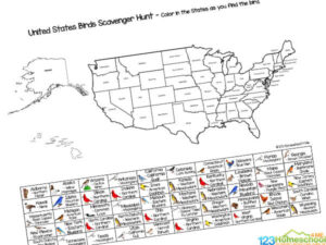FREE USA State Bird Scavenger Hunt Printables for Kids