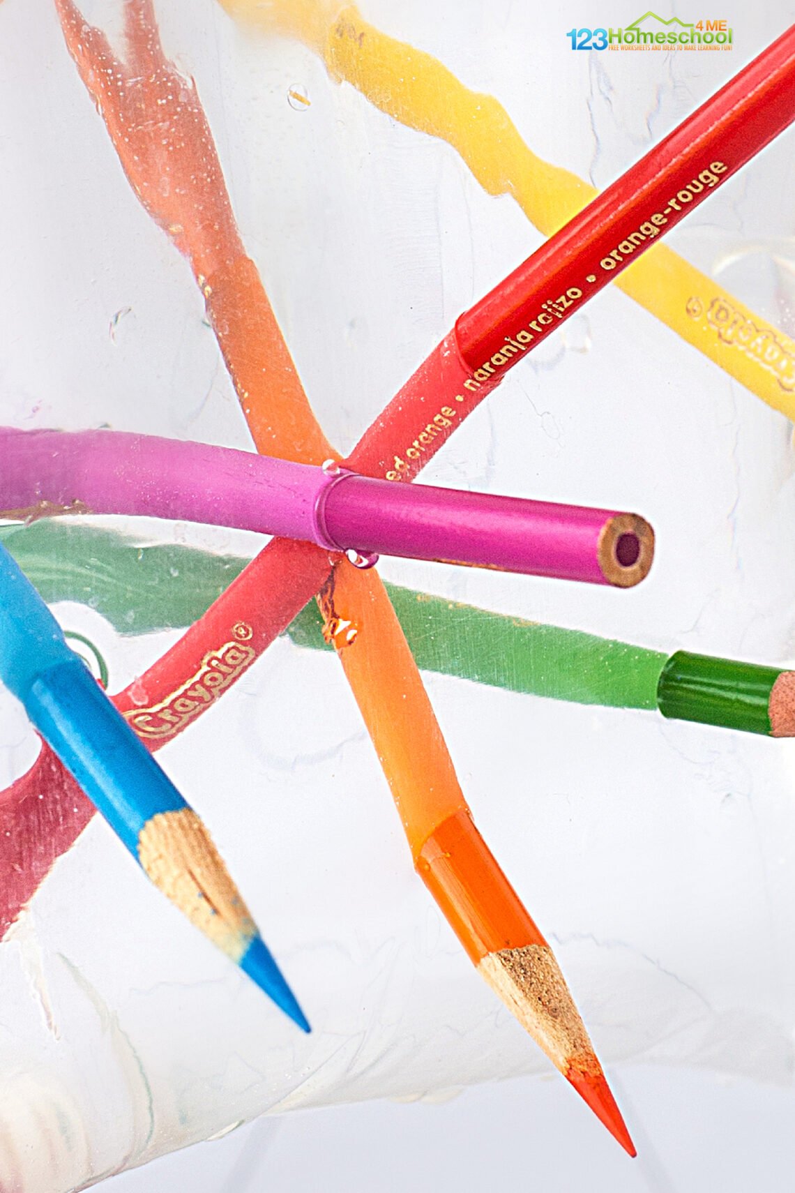 Leak Proof Bag - Amazing Science Experiment with Everyday Materials