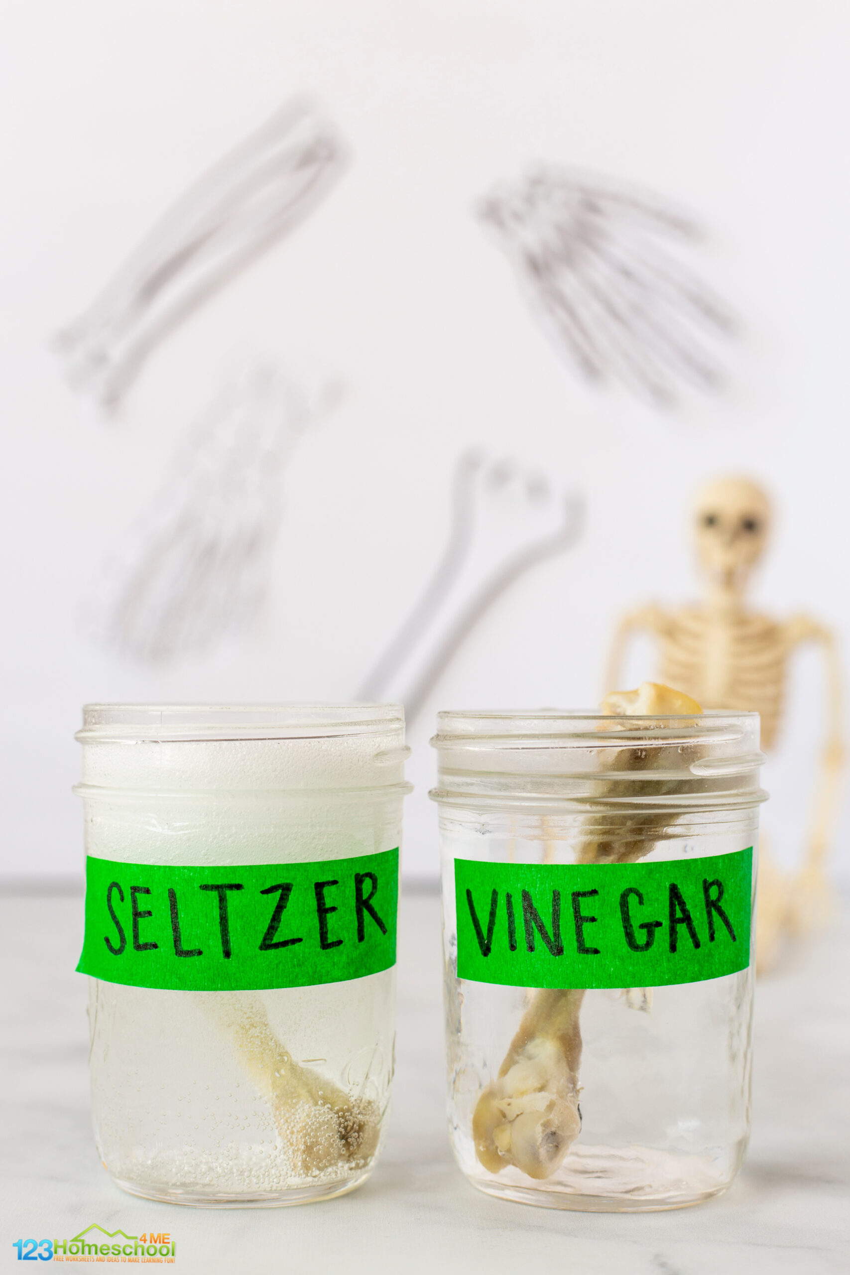 🦴 Bending Bones - Human Body Experiment Removing Calcium for Kids