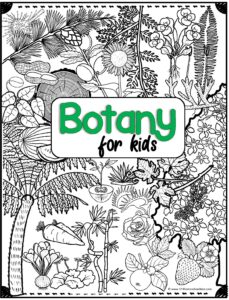 🌿 Plant Lesson - 80 pages on Botany for Kids