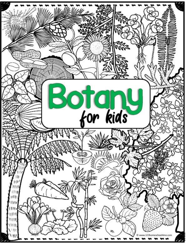 🌿 Plant Lesson - 80 pages on Botany for Kids