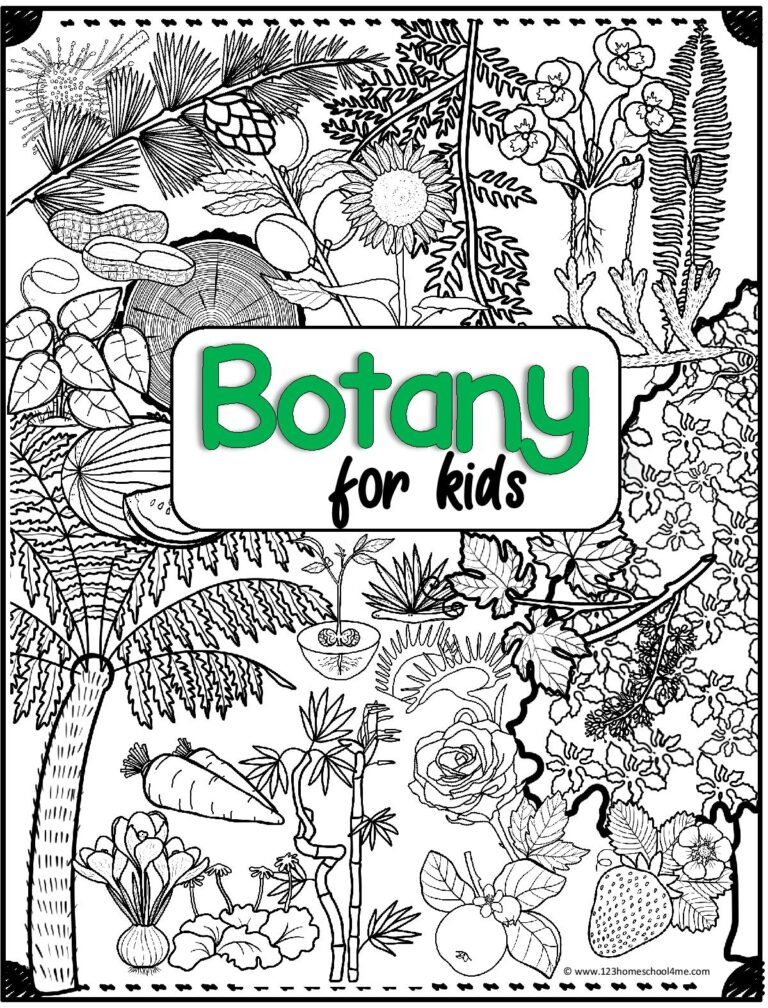 🌱 Botany for Kids Lesson