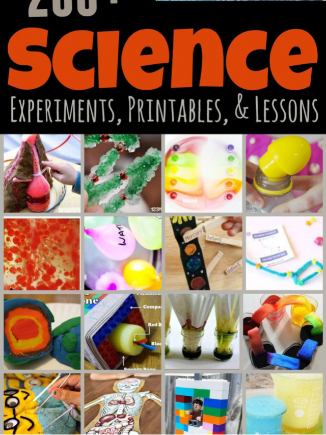 Stories Archive - Page 11 of 22 - 123 Homeschool 4 Me