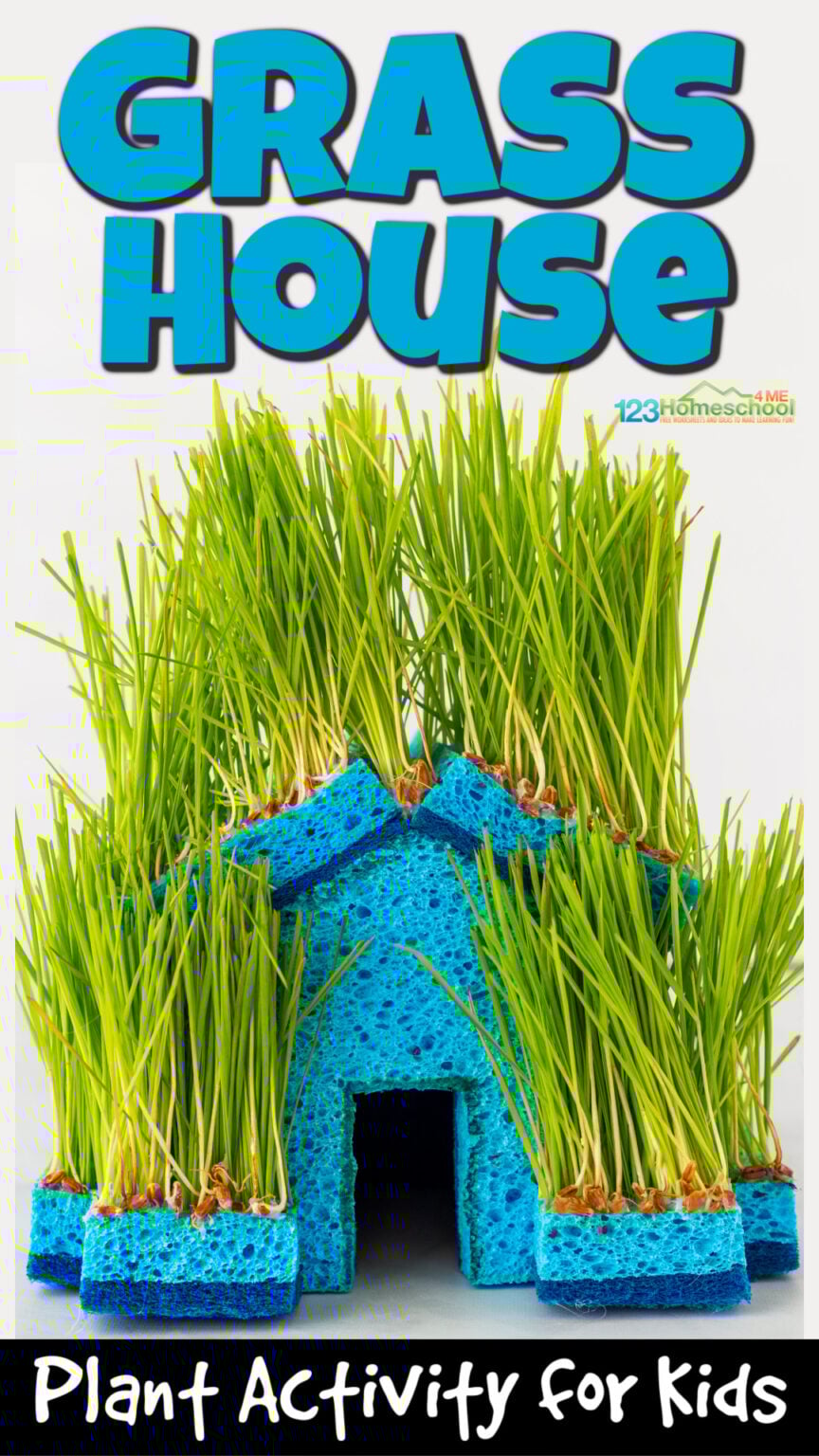 EASY Grass House - Plant Activity for Kids
