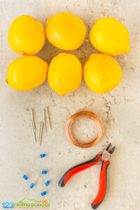 🍋 AMAZING EASY Lemon Battery Experiment for Kids