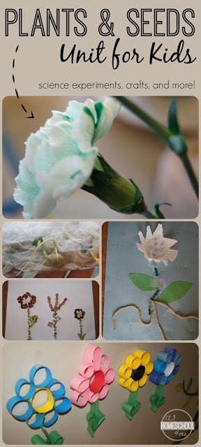 🌱 Plants for Kids - Botany Experiments, Activities, and Worksheets
