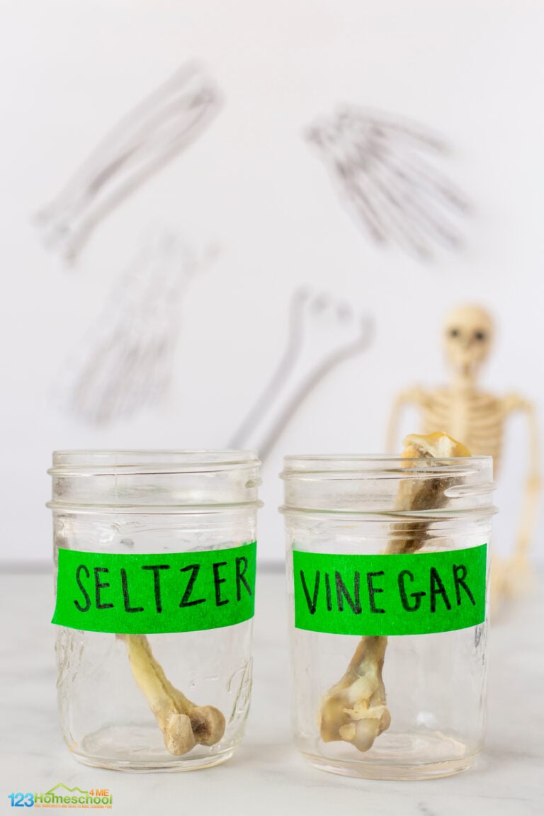 🦴 Bending Bones - Human Body Experiment Removing Calcium for Kids