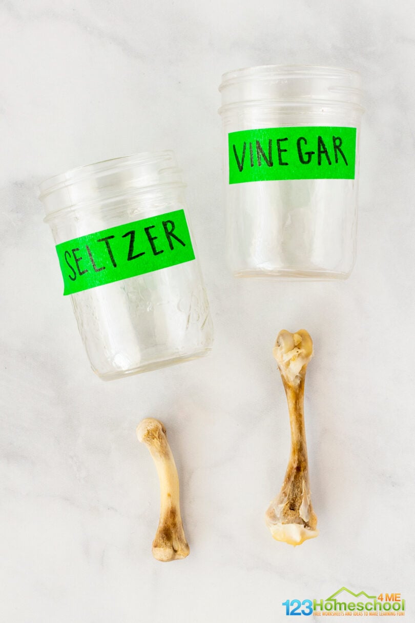 🦴 Bending Bones - Human Body Experiment Removing Calcium for Kids