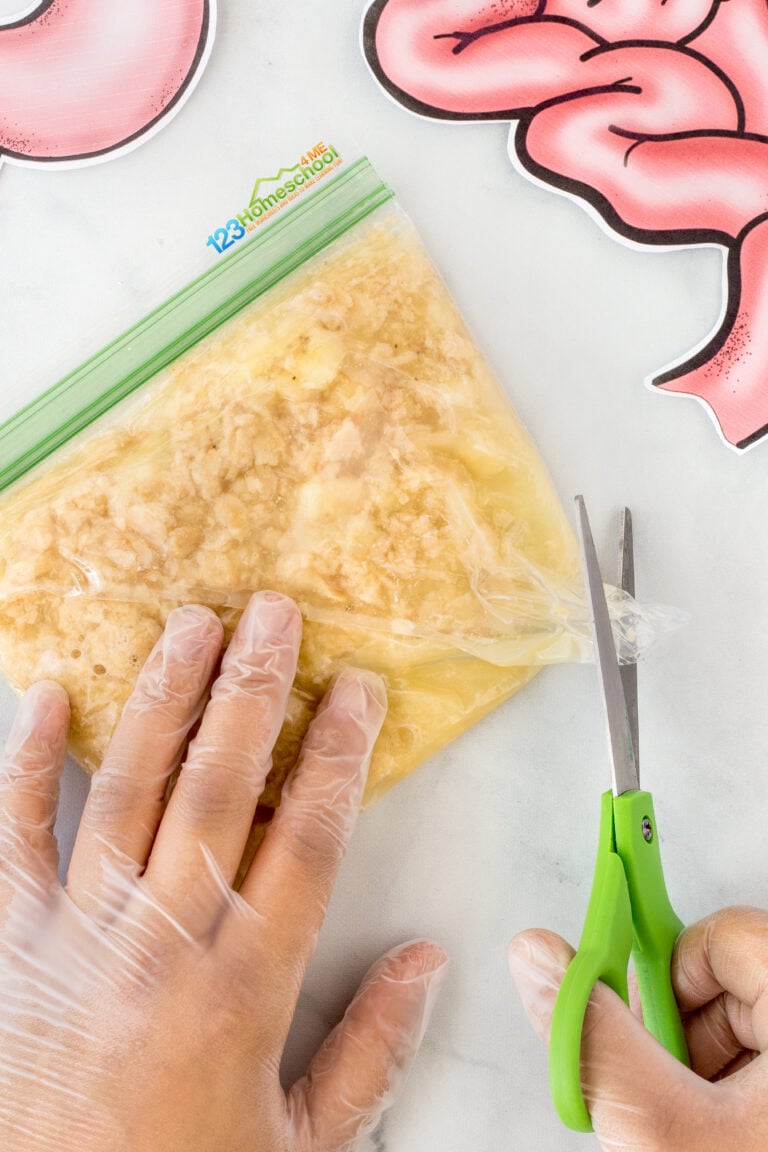 💩 Digestion Experiment - Human Digestive System for Kids