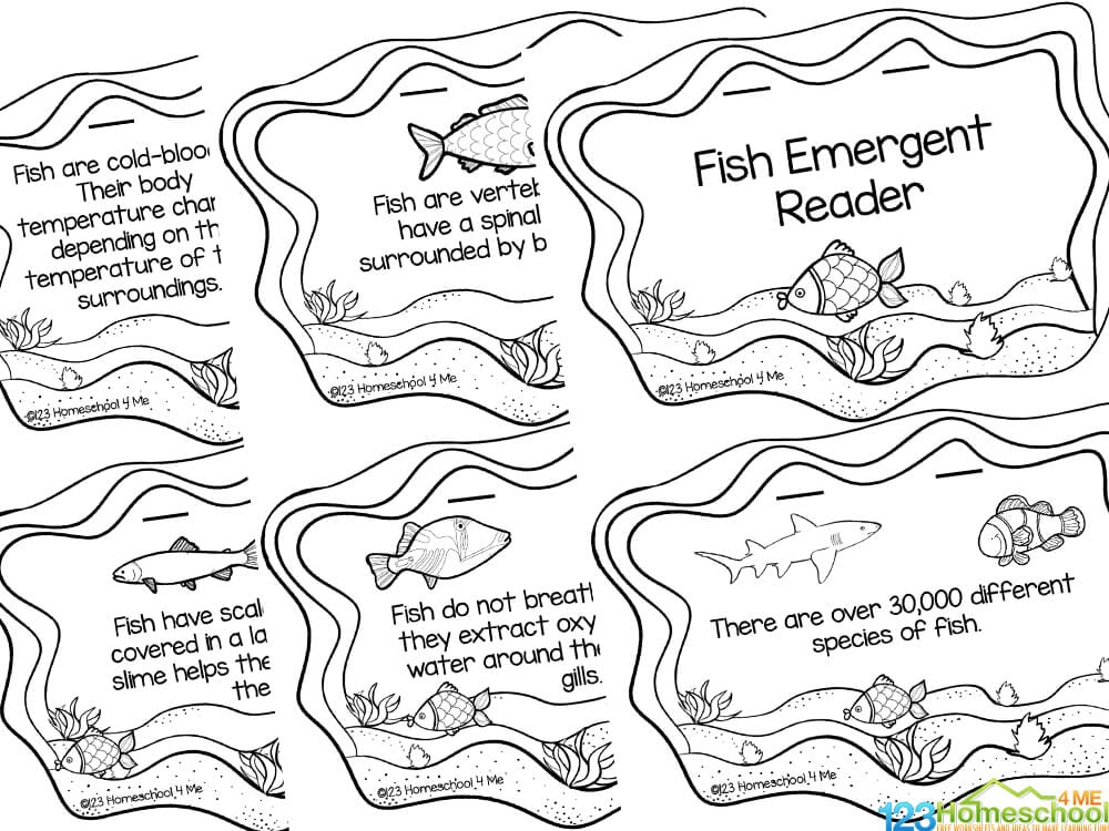🐠 Fin-tastic Fish Facts: A Color & Learn Reader for Kids!