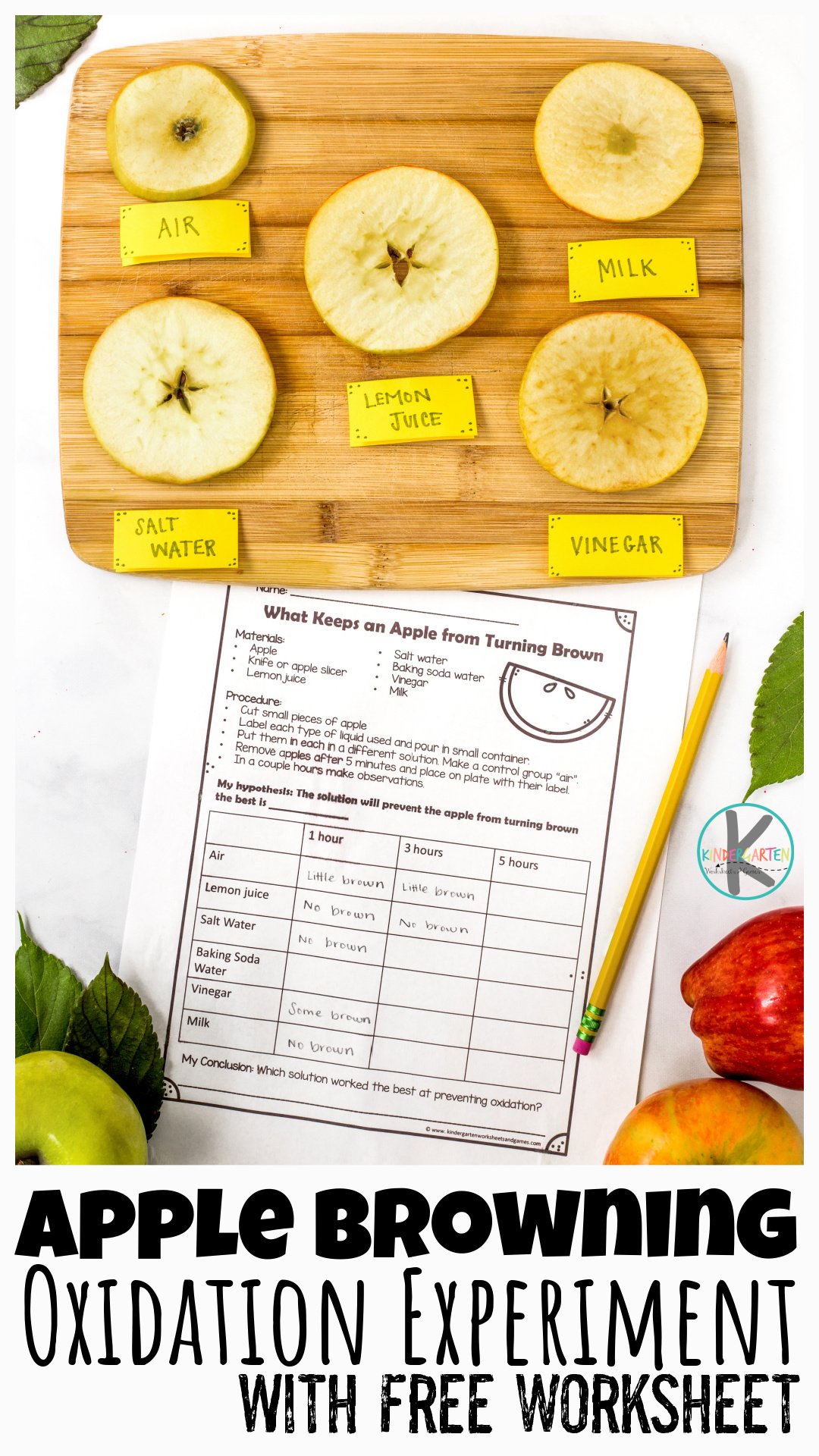 🍏 FREE Apple Synonyms and Antonyms Worksheets