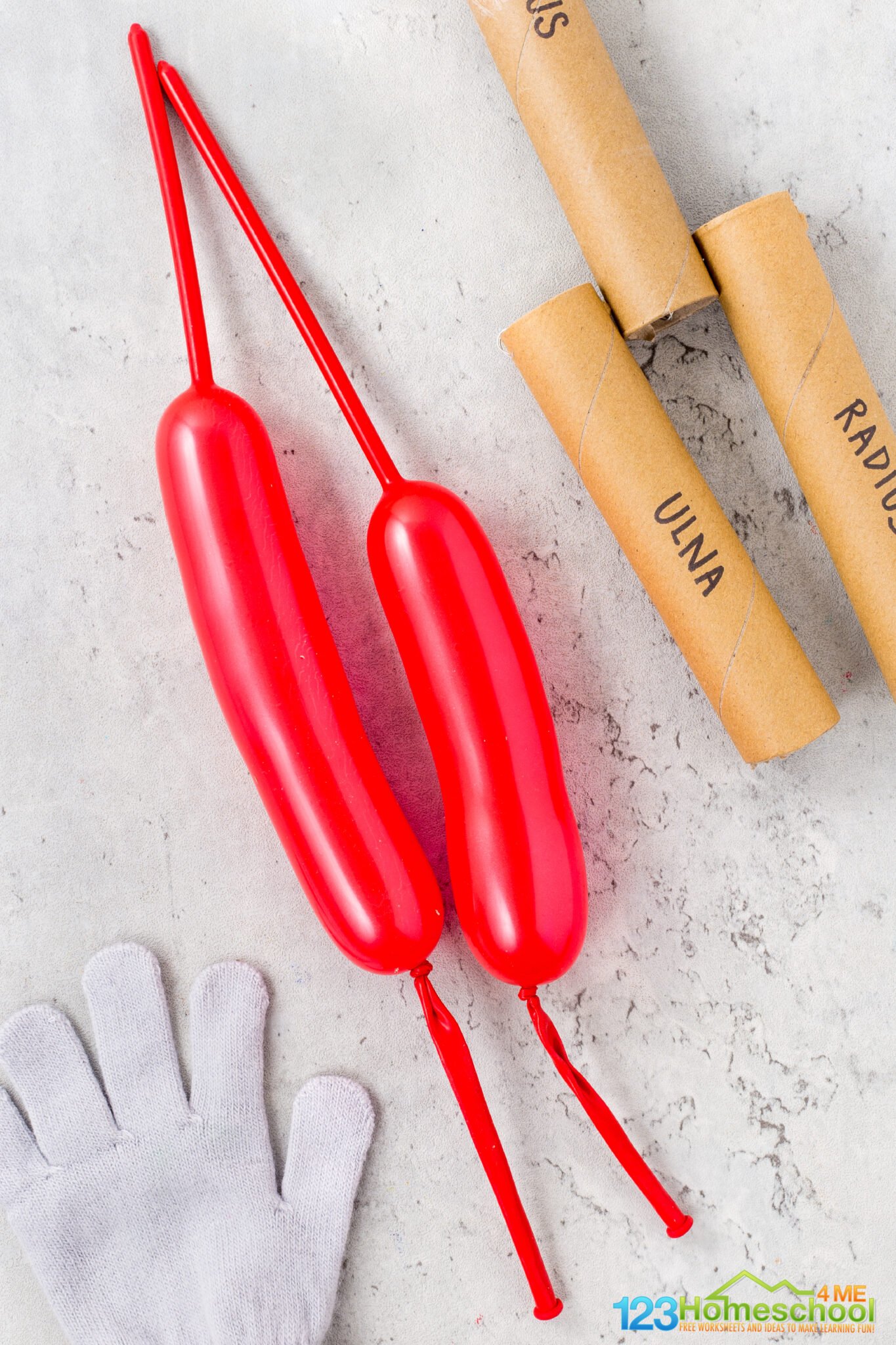 How Do Muscles Work Human Body Project For Kids how-do-muscles-work-human-body-project-for-kids