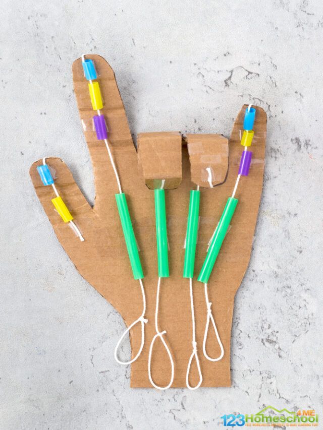 How do Hands Work- Science for Kids - 123 Homeschool 4 Me