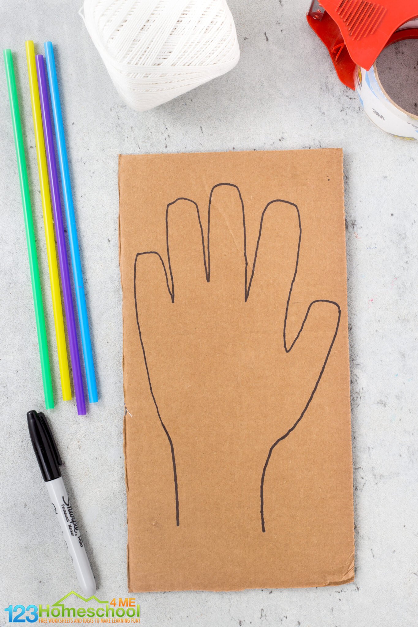 🤟 How do Hands Work - Human Body Muscles for Kids Project