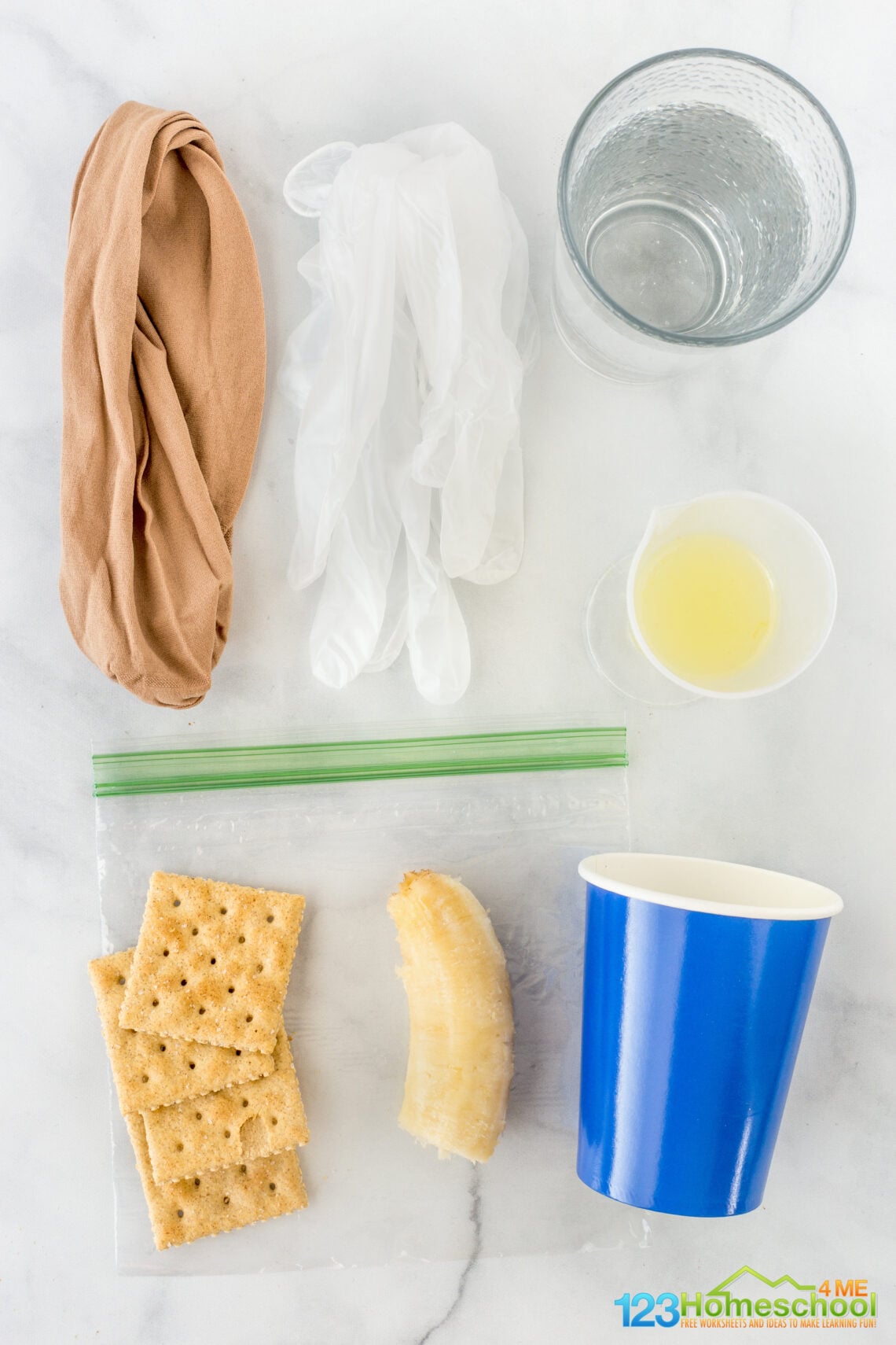 💩 Digestion Experiment - Human Digestive System for Kids