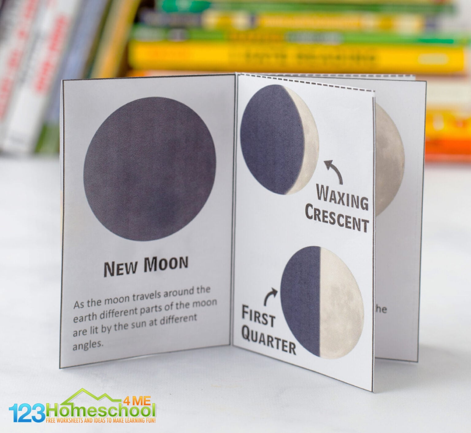 🌒 FREE Moon Phases for Kids Printable Mini Book