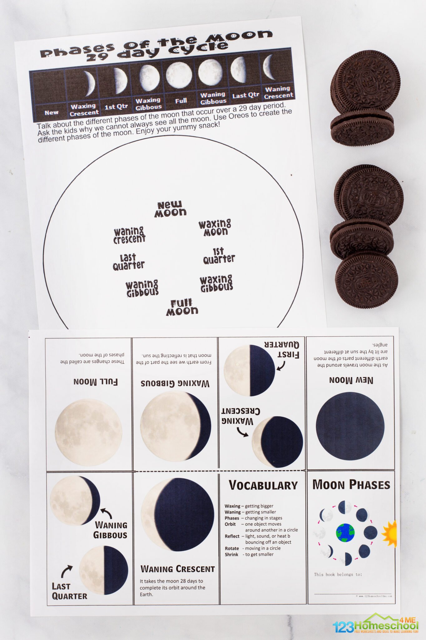 🌒 FREE Moon Phases for Kids Printable Mini Book