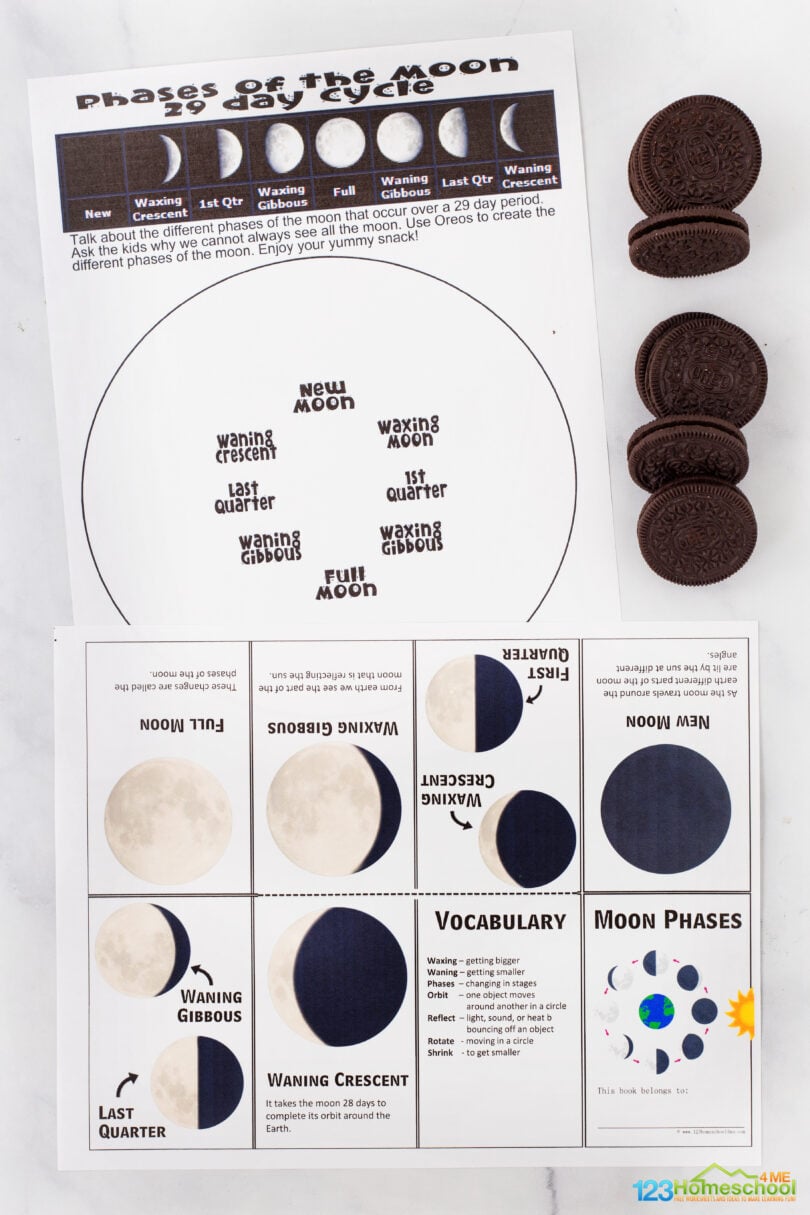 🌒 FREE Moon Phases for Kids Printable Mini Book
