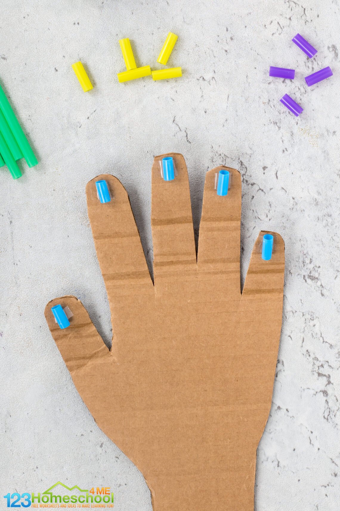 🤟 How do Hands Work - Human Body Muscles for Kids Project