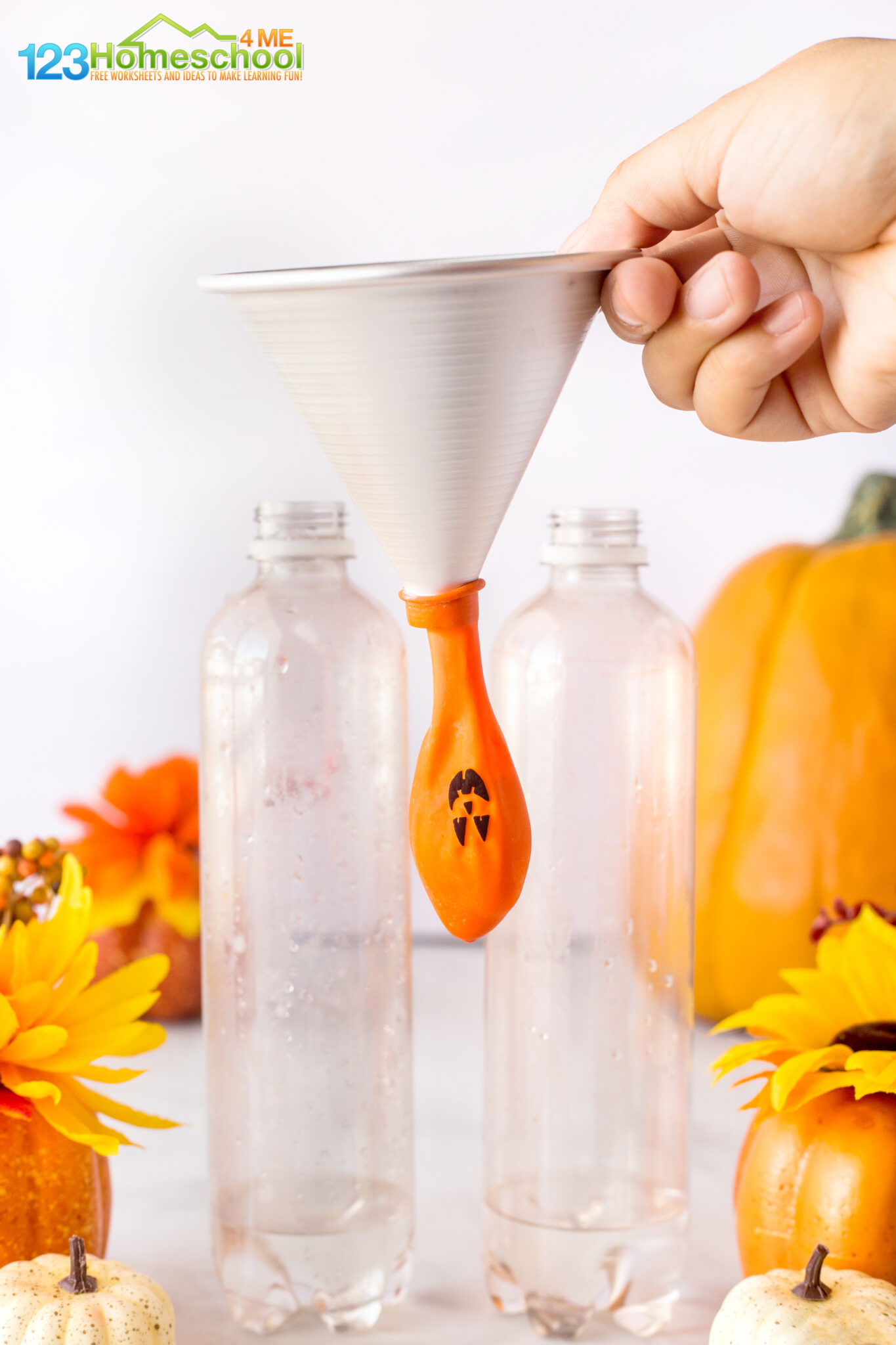 🎃 Quickly Growing Pumpkin Science Experiment