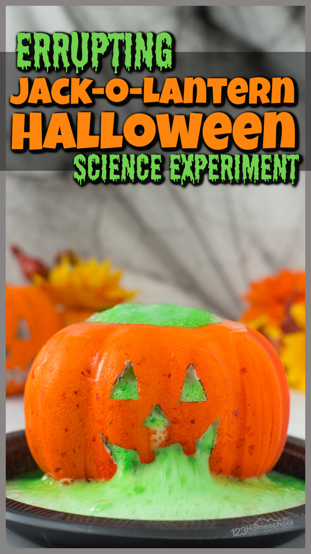 FREE Pumpkin ORDER OF OPERATIONS Puzzles