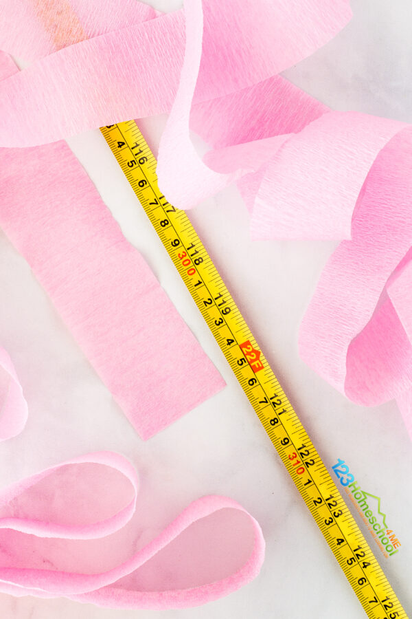 How Long are the Intestines for Kids - Digestive System Experiment