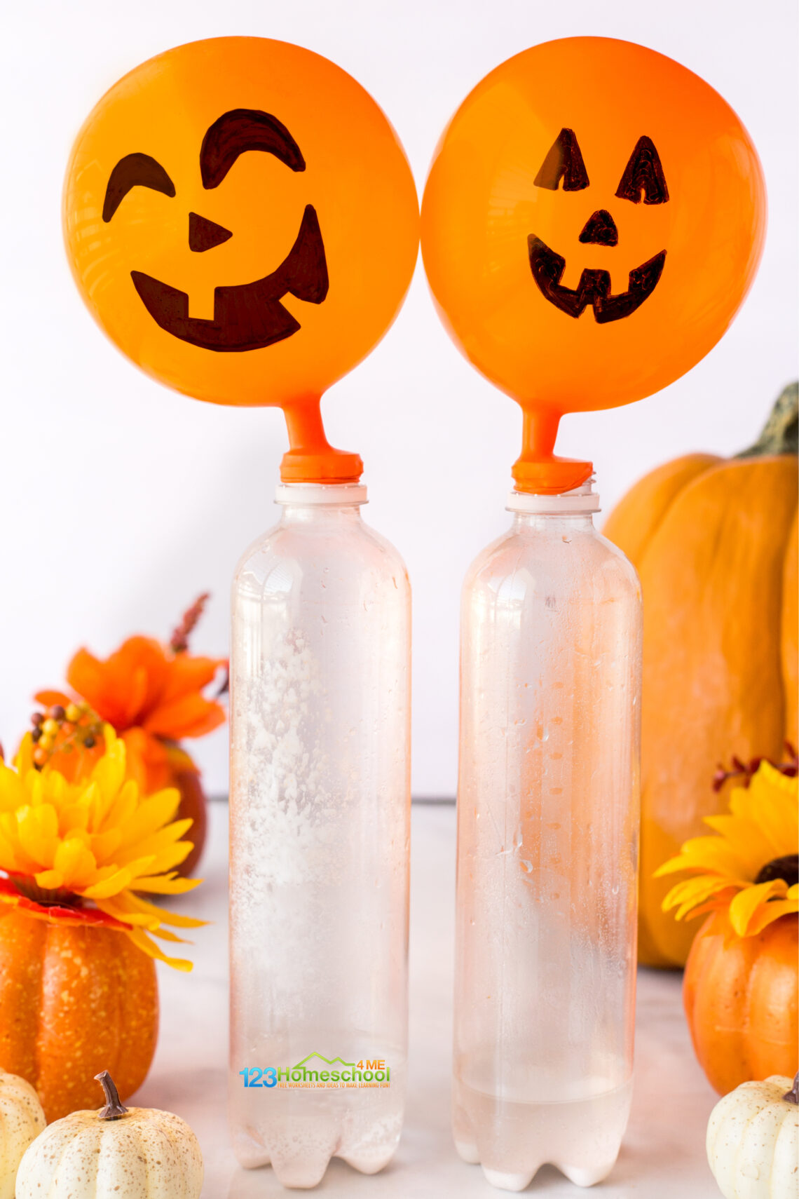 🎃 Quickly Growing Pumpkin Science Experiment