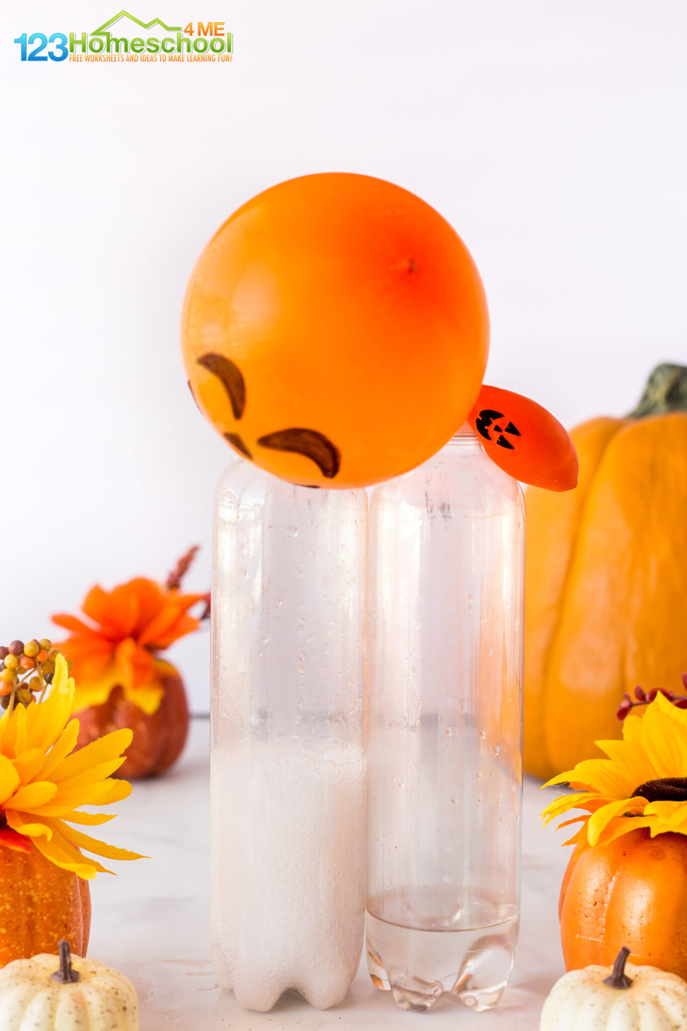 🎃 Quickly Growing Pumpkin Science Experiment