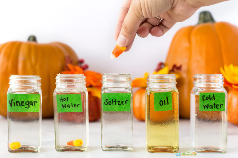 🎃 Dissolving Halloween Candy Science Experiments
