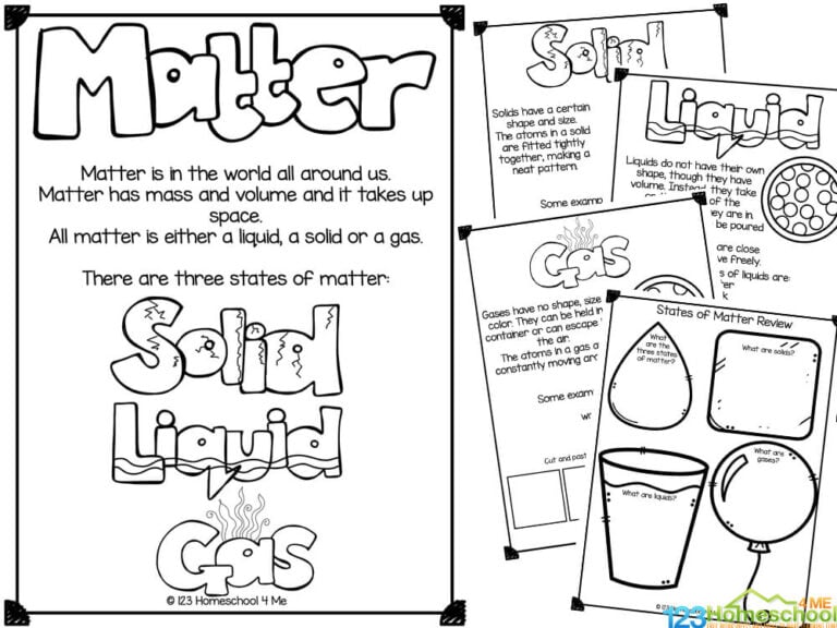 FREE Printable States of Matter Worksheets for Kids