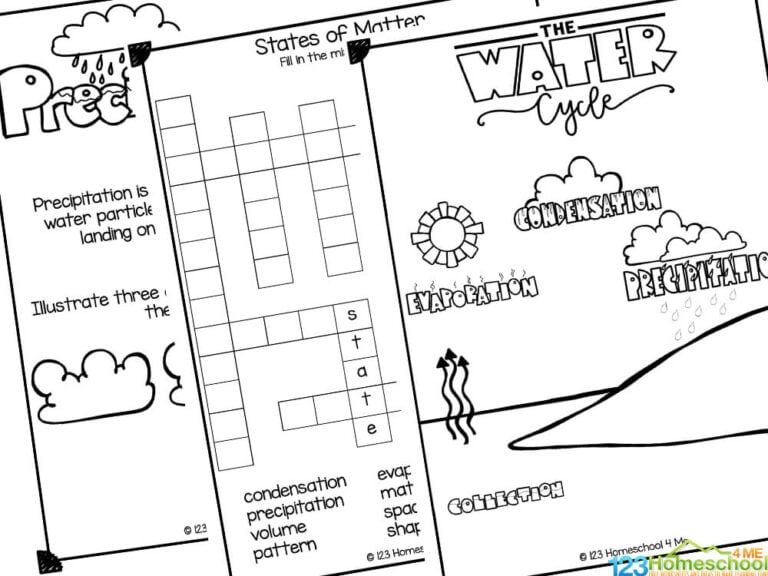 FREE Printable States of Matter Worksheets for Kids