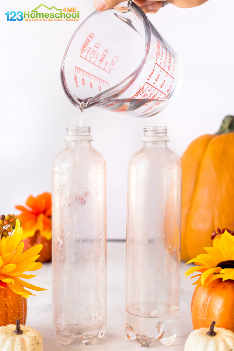 🎃 Quickly Growing Pumpkin Science Experiment