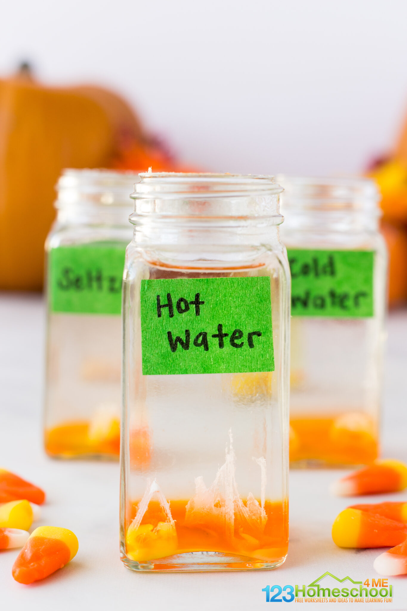 🎃 Dissolving Halloween Candy Science Experiments